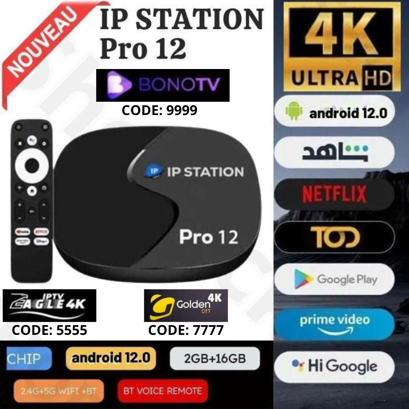 Tv Box Ip Station Pro 12 Smart 2gb 16 G Android Tv Wifi 2.4g/5g + avec ...
