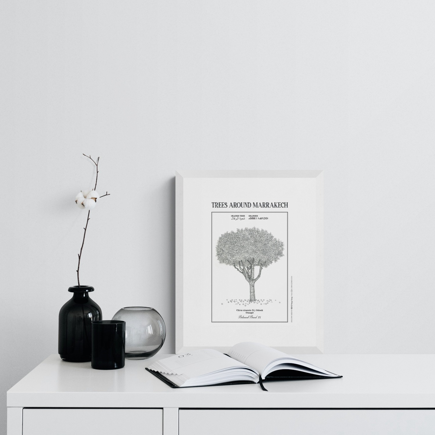Affiche planche botanique ORANGER | THE VINTAGE FACTORY | Maison | Wasal